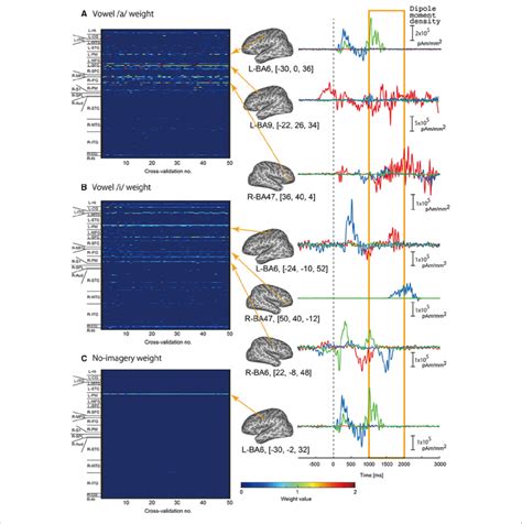 Examples Of Eeg Cortical Current Signals In The Same Participant In