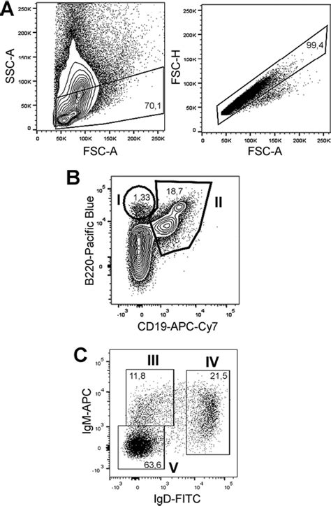 Discrimination Of Immature And Mature B Cells In Bm Single Cell