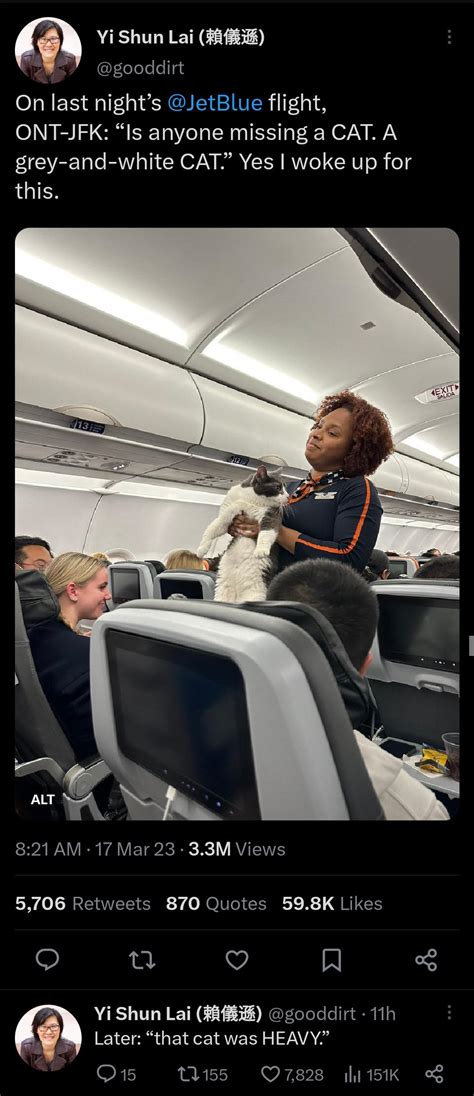 A Chonker Caught On A Plane R Chonkers