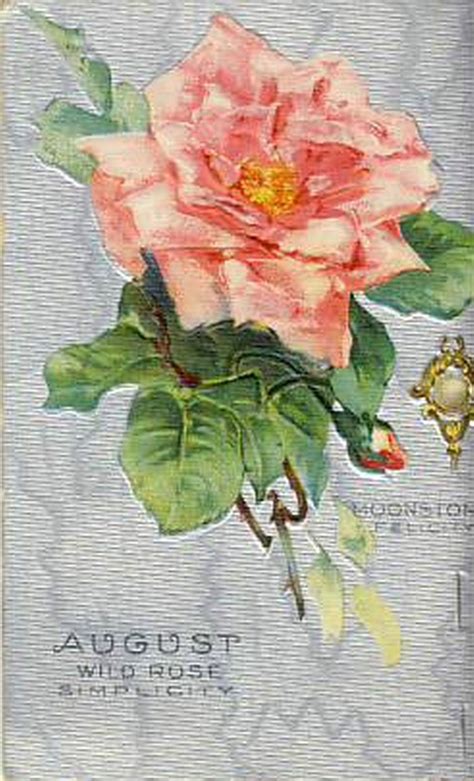 Gold Country Girls Celebrating August In Vintage Postcards