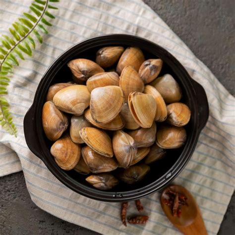 갈미조개개량조개 메가마트몰