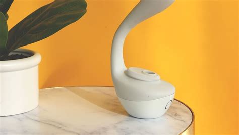 Sex Toys For Women Tech Startup Returns To Ces One Year After Ban 08012020 Sputnik