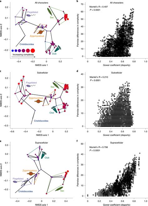 The Relationship Between Phenotypic Disparity And Organismal Complexity Download Scientific