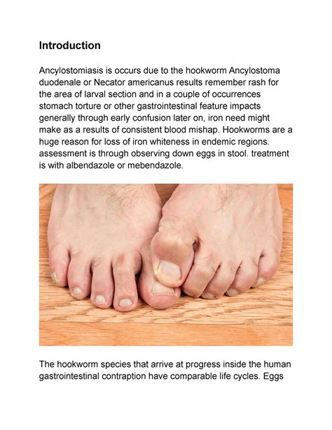 Ancylostomiasis Introduction Ancylostomiasis Is Occurs Due To The