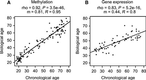 Reduced Dna Methylation Patterning And Transcriptional Connectivity