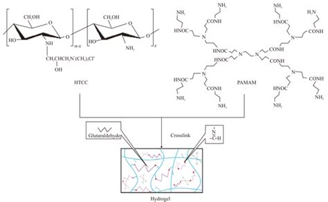 树枝状聚酰胺胺pamam 季铵壳聚糖水凝胶的制备及抗菌性能 知乎