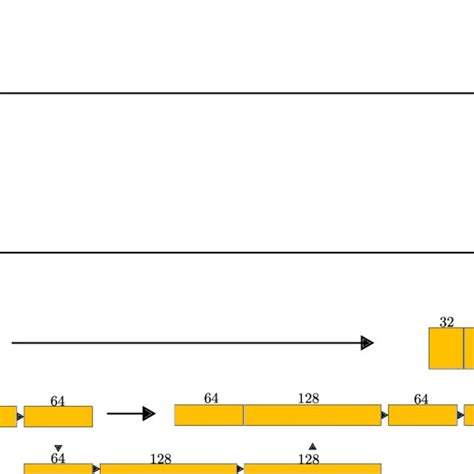Model Architechture Of The Surface Mask Prediction A Standard 3d U Net Download Scientific