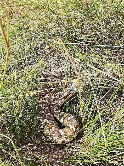 Сенсаци мн Home Facebook