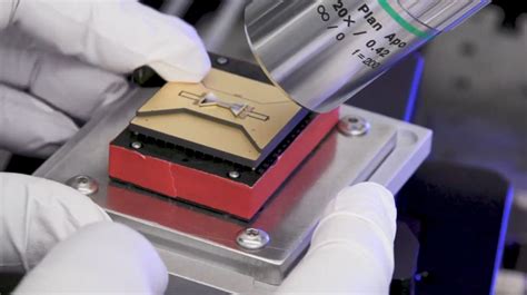 Worldquantumday Quantumcomputing Quantum Systems Accelerator