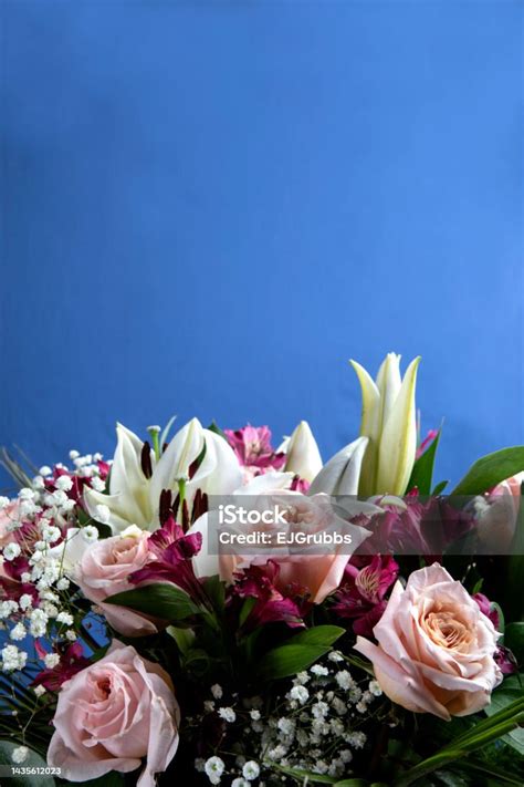 분홍색과 흰색 장미와 백합의 아름다운 향기로운 꽃다발의 선물 기대에 대한 스톡 사진 및 기타 이미지 기대 꽃 나무 꽃 식물 Istock