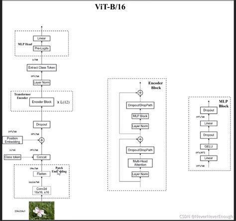 【超详细】初学者包会的vision Transformer（vit）的pytorch实现代码学习vision Transformer代码 Csdn博客