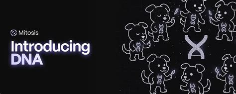 The Mitosis Dna Program Rethinking Chain Incentives For Sustainable Defi Growth