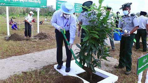 ကရင်ပြည်နယ် ၂၀၂၁ ခုနှစ် မိုးရာသီသစ်ပင်စိုက်ပွဲ ကျင်းပ Information And Public Relations Department