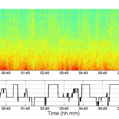 Spectrogram Top And Hypnogram Bottom Of Different Brain Rhythms In