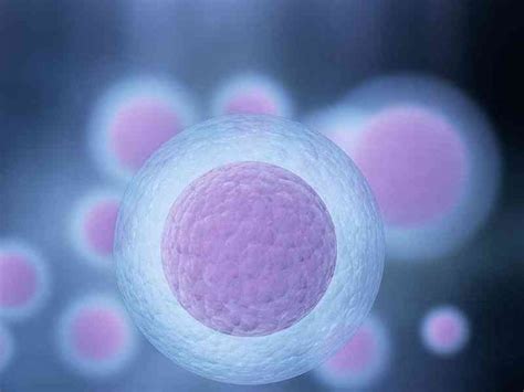 卵泡发育不良 最佳治疗方法症状病因能不能怀孕 孕小帮