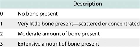 Specially Devised Four Point Grading Scale For Rating Sem Images Download Scientific Diagram
