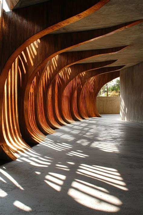 Organic Architecture Curved Courtyard Structure Made Of Wood Daylight