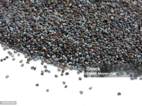 Biji Poppy Biji Minyak Yang Diperoleh Dari Opium Poppy Foto Stok Unduh Gambar Sekarang Istock
