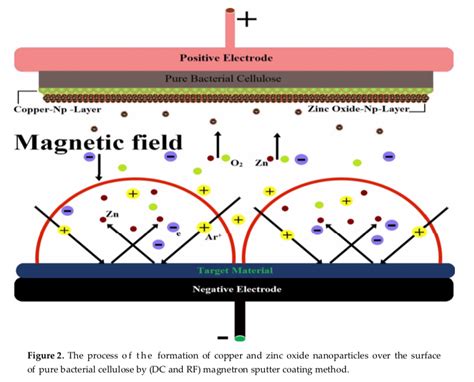 Surface Modification Of Bacterial Cellulose Encyclopedia Mdpi