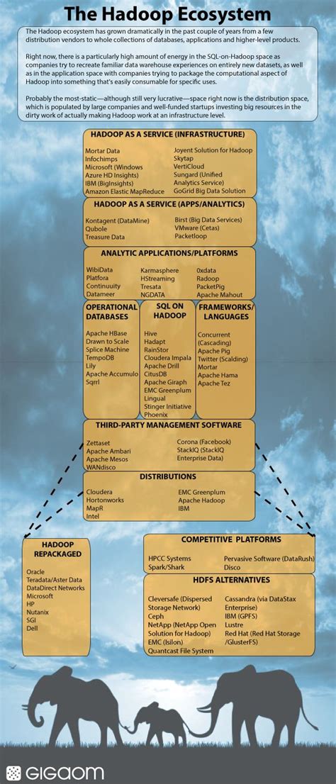 The Hadoop Ecosystem The Welcome Elephant In The Room Infographic