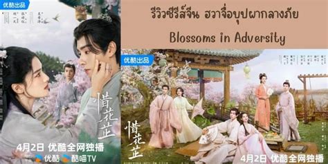 รีวิวซีรีส์จีน ฮวาจื่อบุปผากลางภัย 2024 Blossoms In Adversity ทาง Youku นำแสดง หูอี้เทียน And จาง