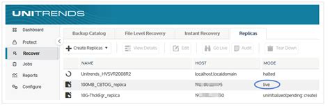 Working With Vm Replicas