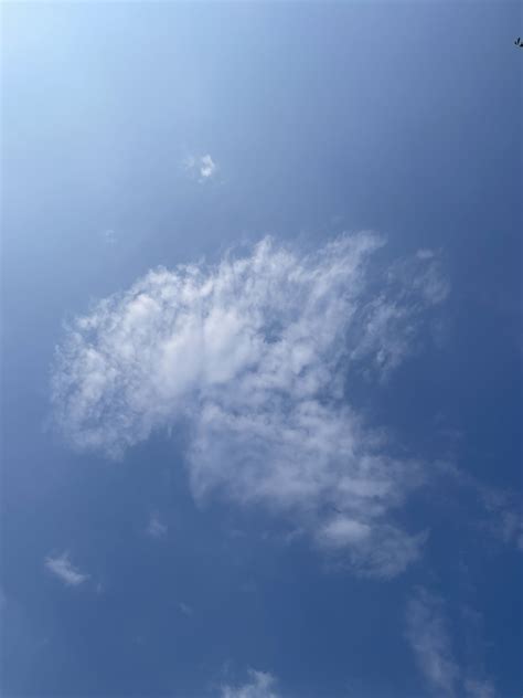 2025년 4월 20일 핫 뉴스 윤여정 아들 동성애자 고백