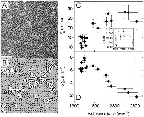 Solved What Does This Figure Show How Does It Relate To The