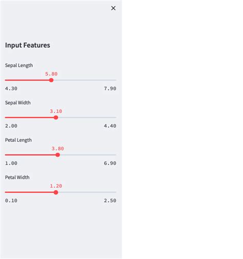 Deploy A Custom Docker Image For Data Science Project Streamlit App