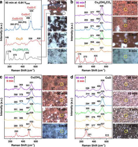 Raman Spectroscopy Jobs At Jade Stainforth Blog