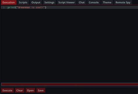 Make Your Own Roblox Executer By Kristof Fiverr