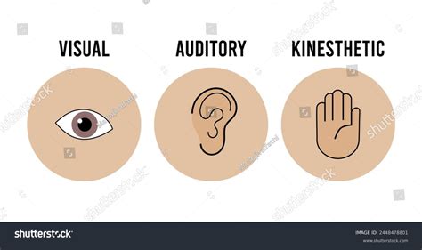 230 Visual Auditory Kinesthetic Reading Writing Stock Vectors And Vector Art Shutterstock