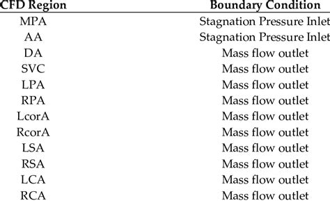 Describes The Various Types Of Boundary Conditions Imposed For Each CFD Download Scientific