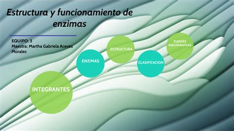Estructura Y Funcionamiento De Enzimas By Carmen Cuellar On Prezi
