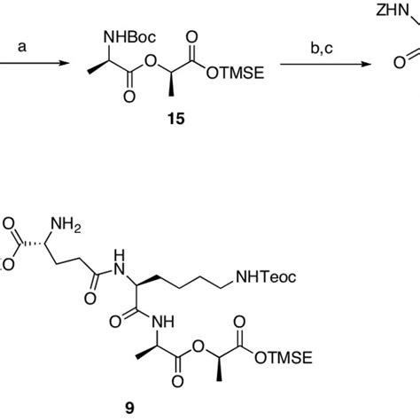 Figure S1 Preparation Of Protected Lactic Acid And Amino Acids