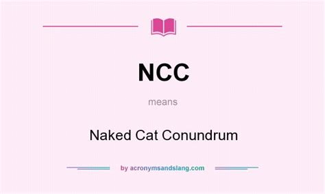 NCC Naked Cat Conundrum In Undefined By AcronymsAndSlang