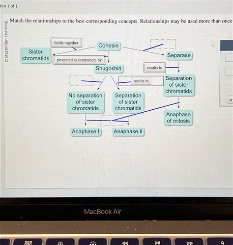 Solved Match The Relationships To The Best Corresponding Chegg