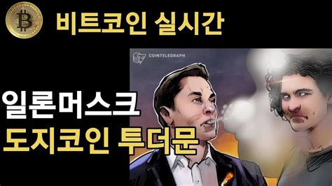 비트코인실시간 일론머스크 도지코인 투더문 비트코인 이더리움 도지코인 만 신뢰 비트코인 이더리움 도지코인 솔라나 리플 Youtube