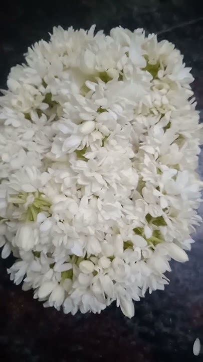 Mullai Poo Charam Youtube