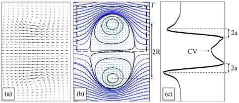 Example Laser Piv Data From The Ring Vortex Phantom A Raw Velocity Download Scientific