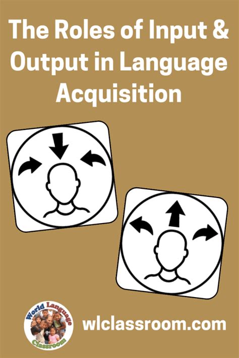 Input And Output In The Language Classroom World Language Classroom
