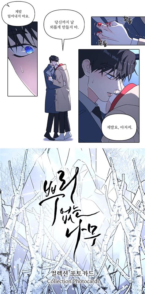 A Tree Without Roots Collection Photo Cards Now In Seoul