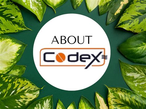 Codex Drugs Pvt Ltd Quality Herbal Products And Nutraceuticals Contr