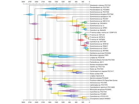 Treeviewer Flexible Modular Software To Visualise And Manipulate