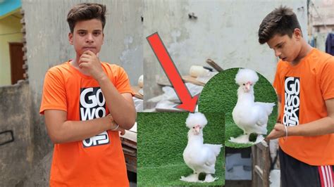 Silky Hen Ko Kya Hua 😮 Youtube