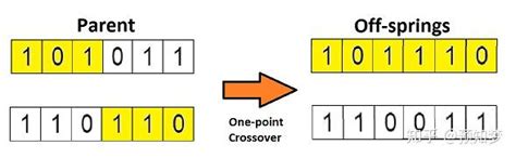 遗传算法 Genetic AlgorithmGA 知乎