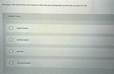 Messages That Travel From One Neuron To The Next Are Transported Across