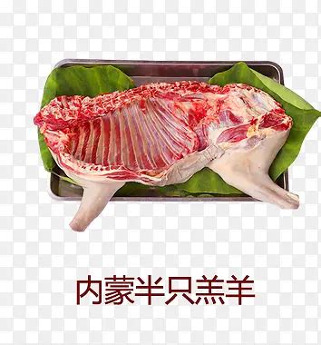 内蒙羔羊PNG图片素材下载 图片编号9790640 PNG素材网