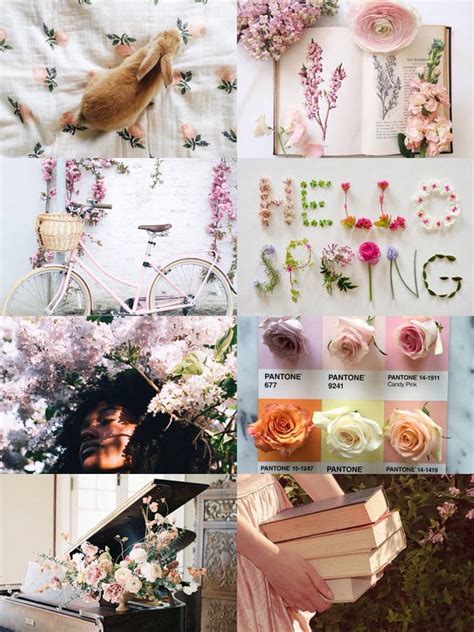 Aesthetic Spring Backgrounds Wallpapers Com