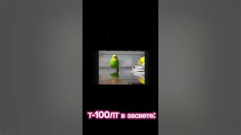 малиновка Youtube